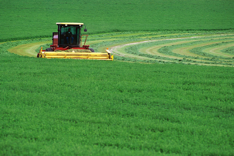 Farm Fertilizer - Altamont Country Values